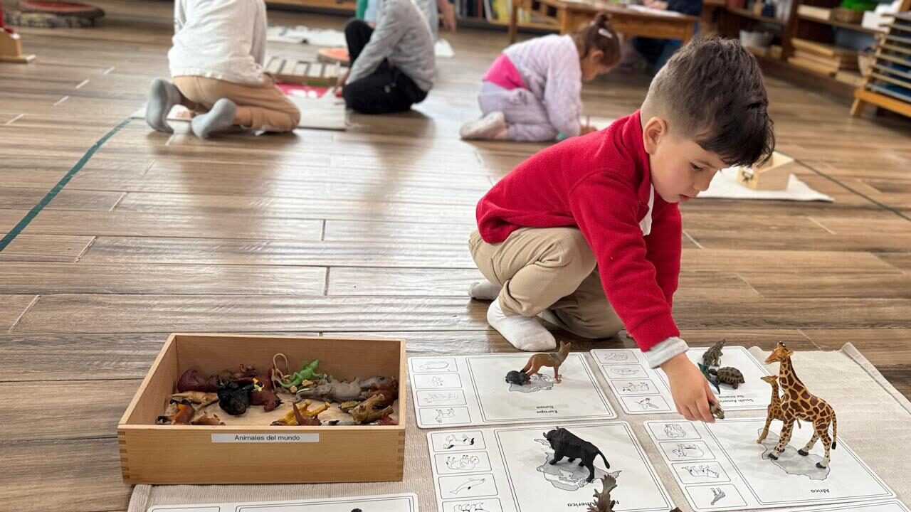 Montessori Science for Kids: Hands-On Learning That Lasts